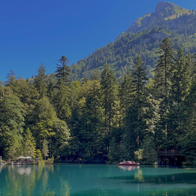 The Ultimate Guide to a Day Trip to Lake Blausee
