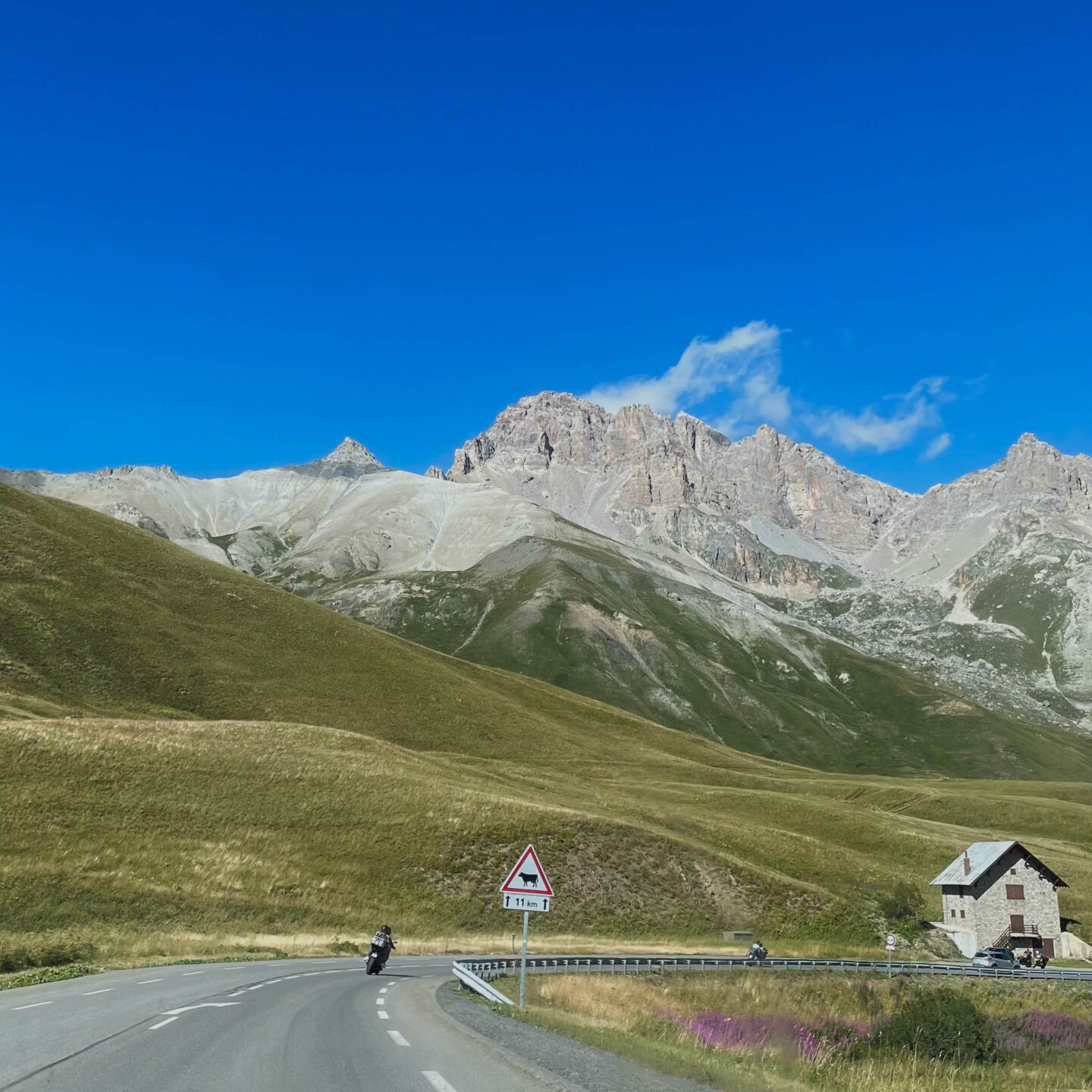 Grindelwald, Switzerland : Best Things to Do in Summer