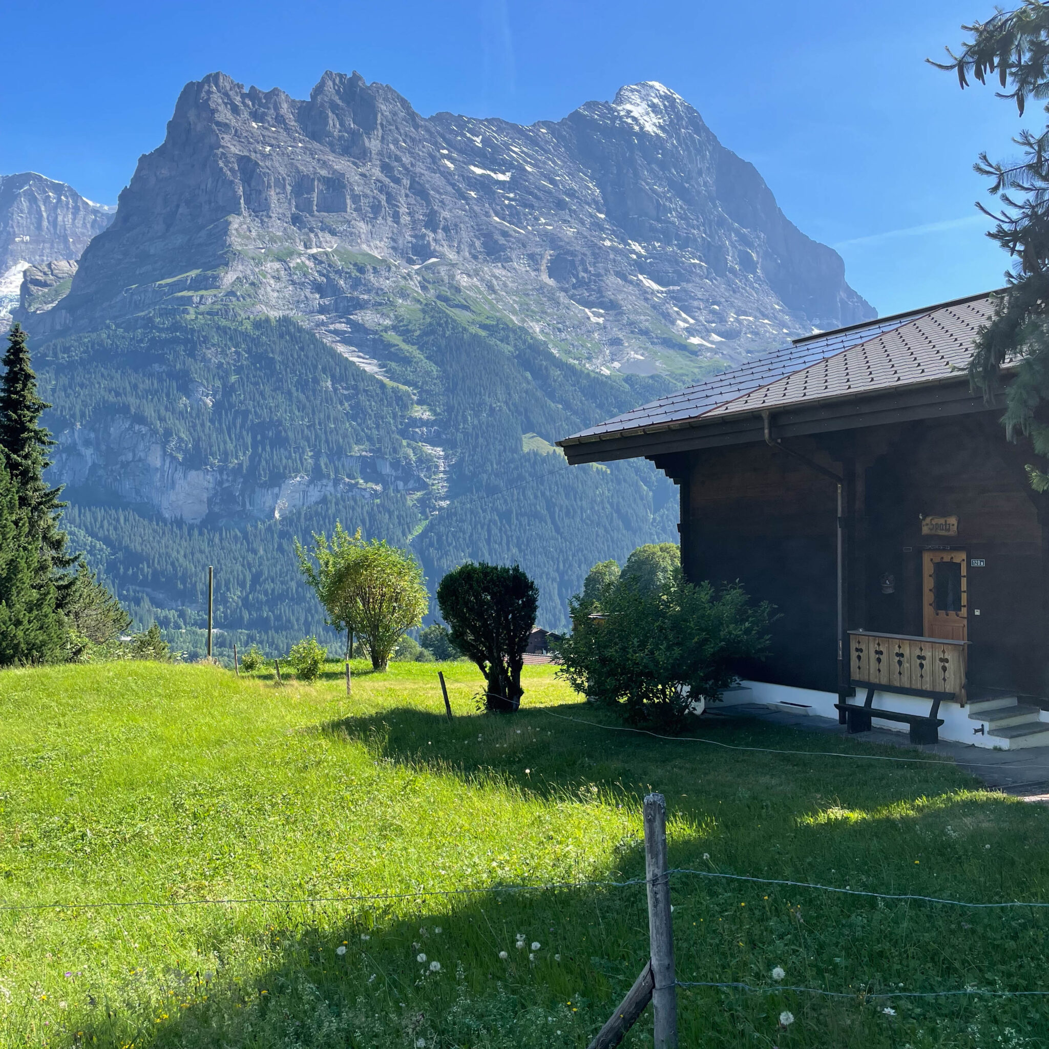 Grindelwald, Switzerland : Best Things to Do in Summer