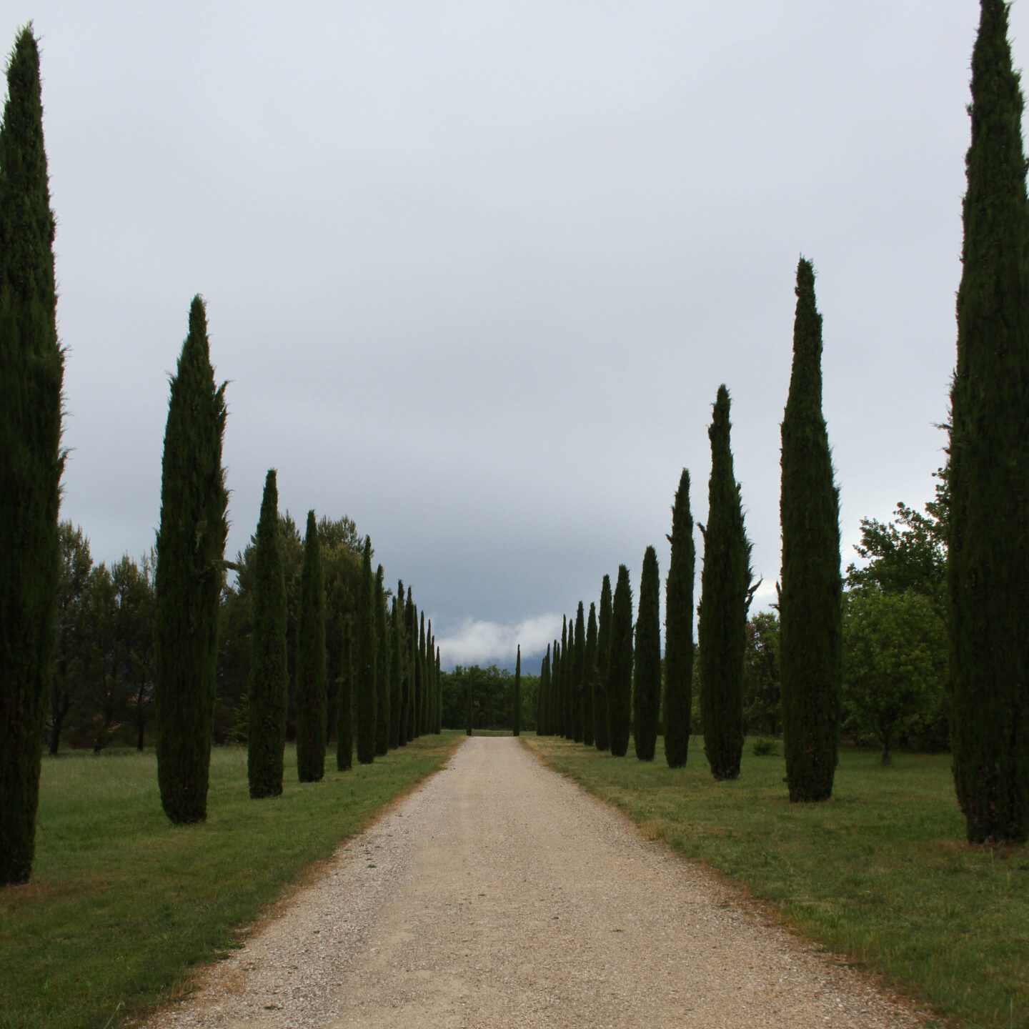 The Prettiest Towns to Visit in Provence, France
