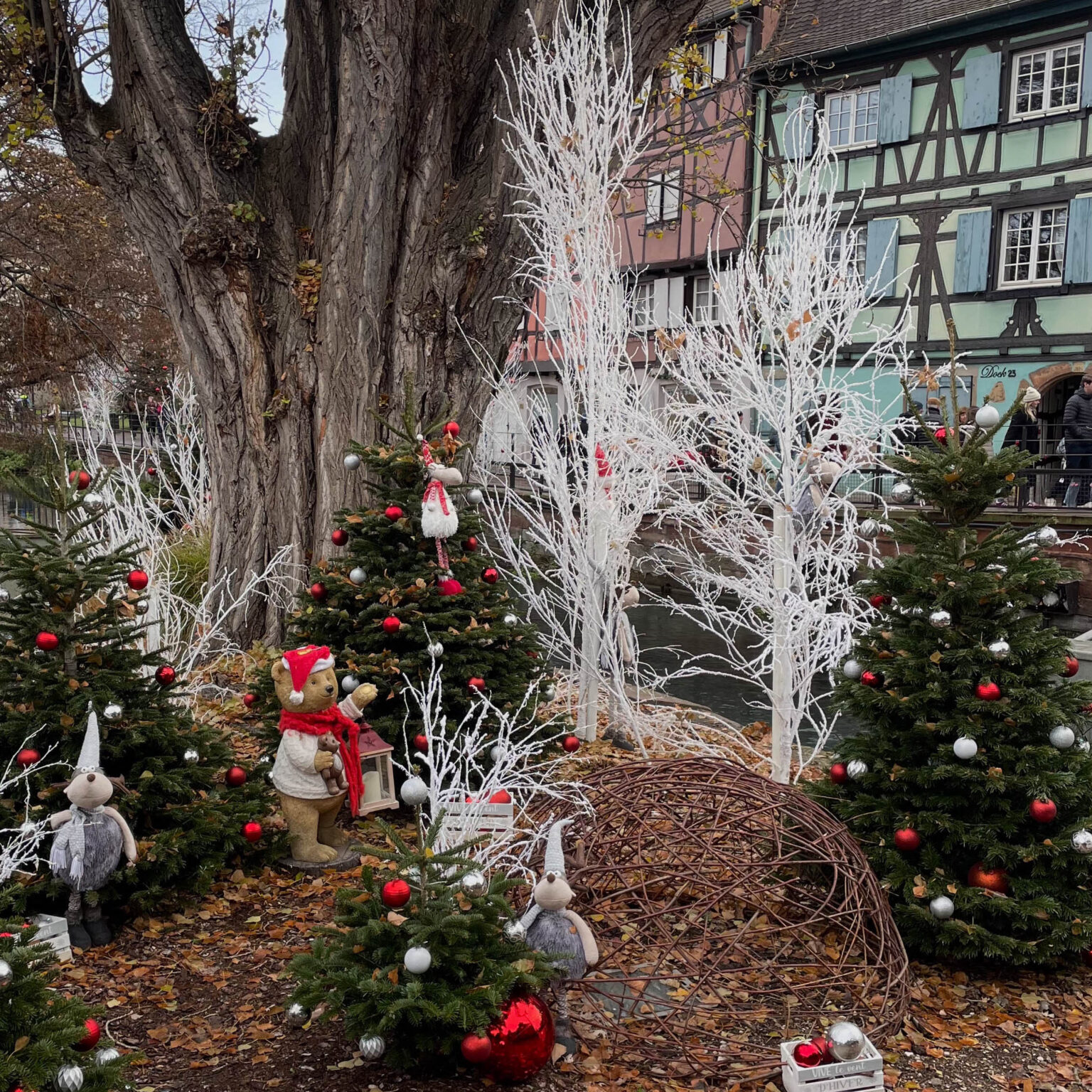 Colmar, Alsace : A Christmas fairytale town in France
